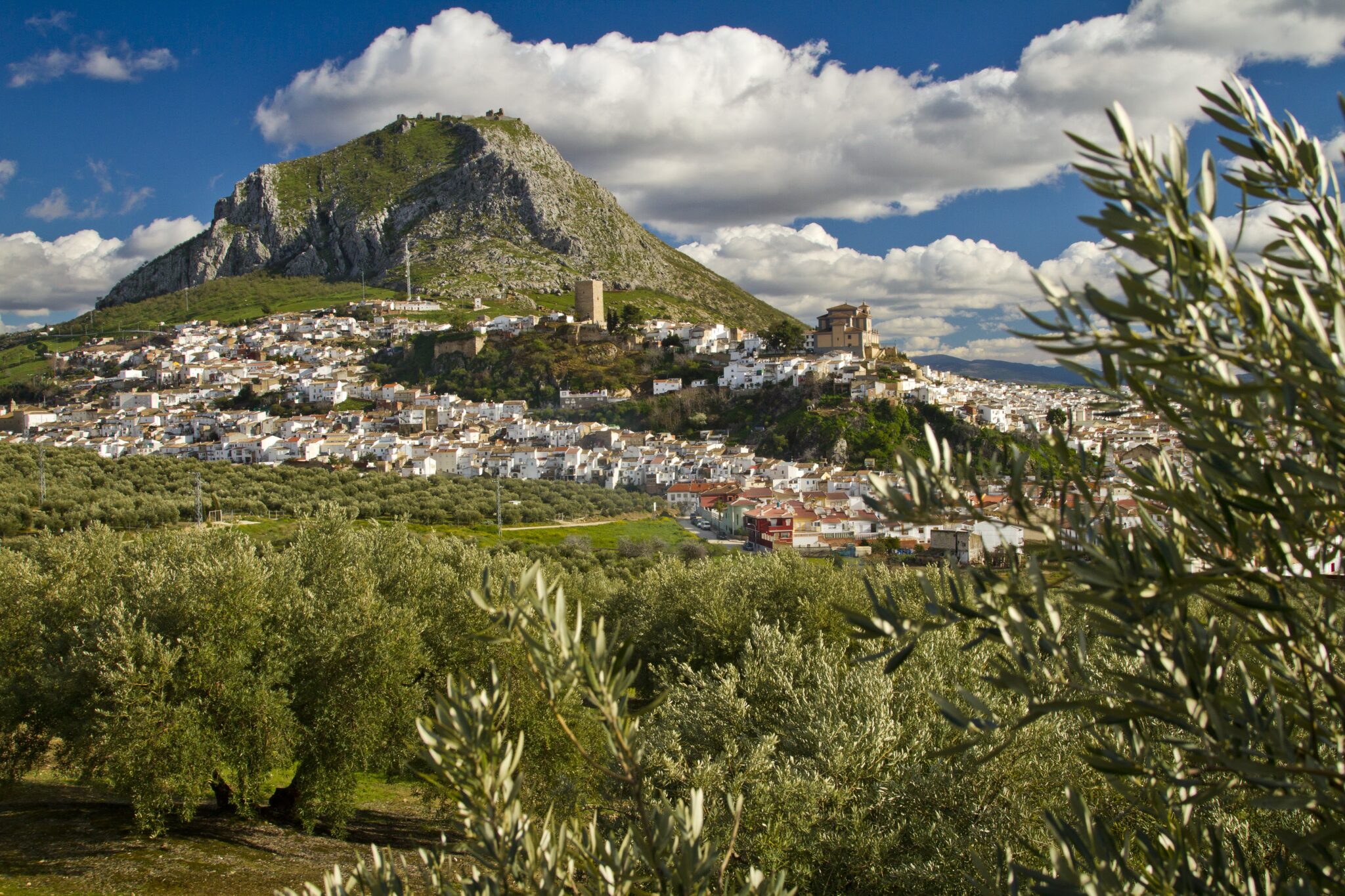 Tu Ciudad - Ayuntamiento de Martos
